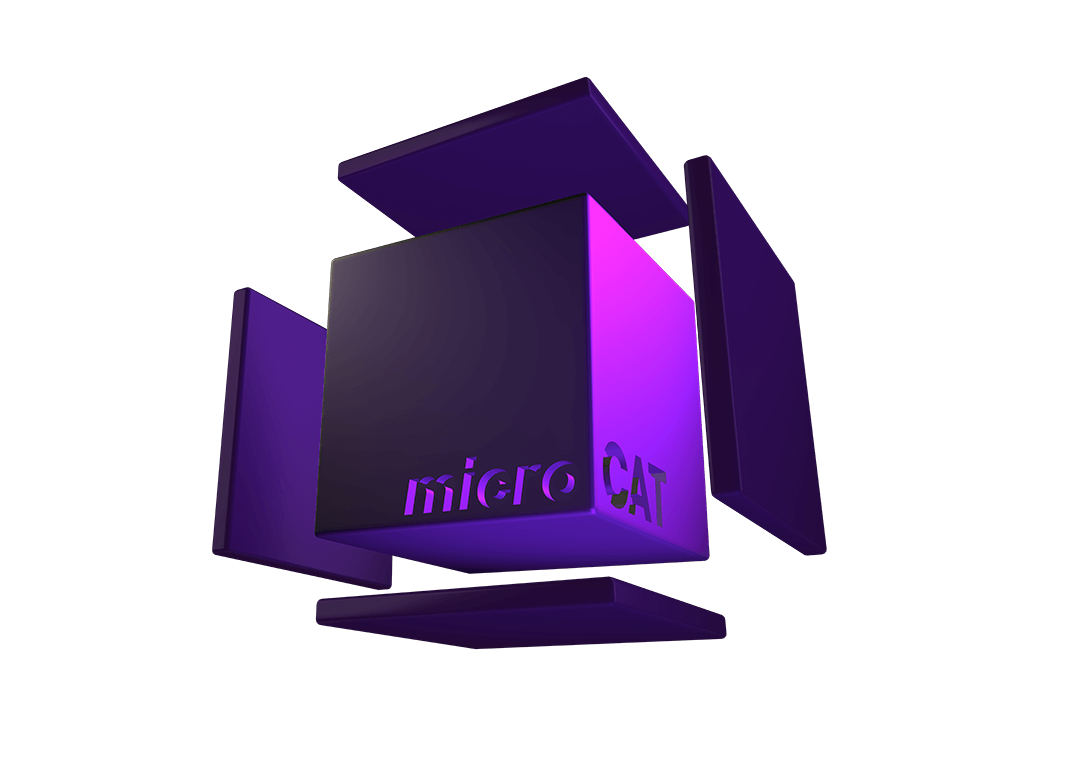 Über uns: microCAT